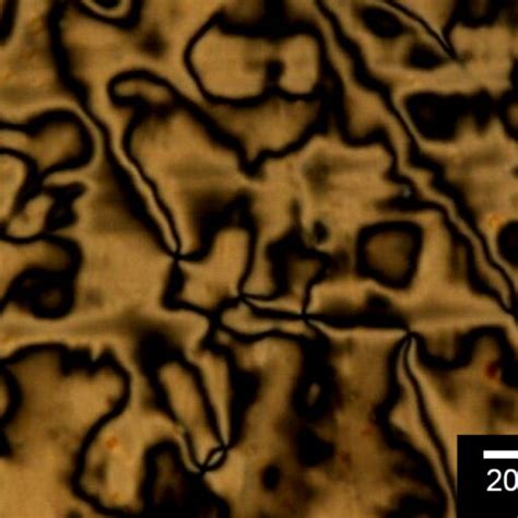 Polarising Optical Microscopy Image Of The Cholesteric Electrolyte Download Scientific Diagram