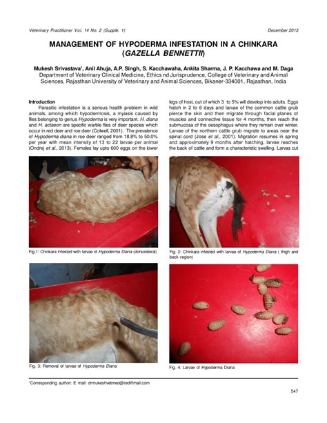 Pdf Management Of Hypoderma Infestation In A Chinkara Gazella Bennettii