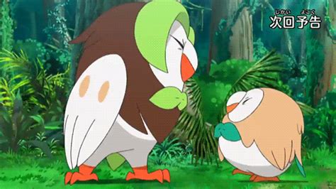 Rowlet And Dartrix Pokemon And 2 More Danbooru