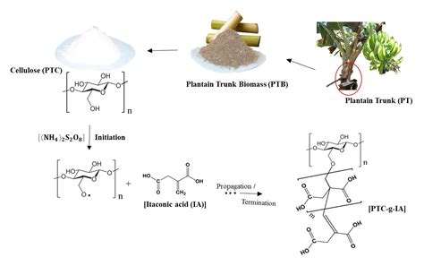 Adhesion Of Methylene Blue And Malachite Green To The Surface Of