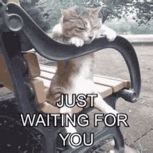 Waiting For You Funny Wolf If You Have A Problem With Me Get Over It
