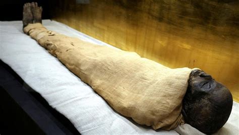 Museum Makam Raja Raja Mesir Kuno Kembali Dibuka Begini Potretnya