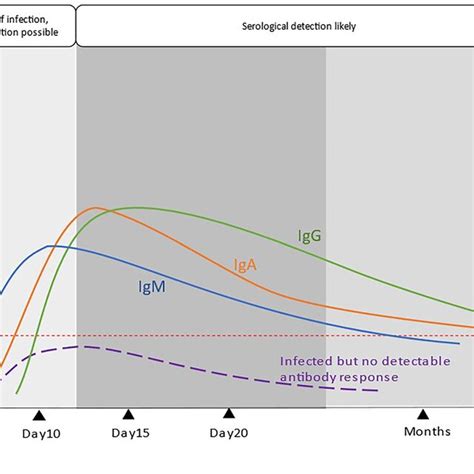 Antibody Kinetics Following Natural Infection By Sars Cov 2 Download