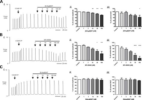 Video Contractility Measurements Of Human Uterine Smooth Muscle To Aid Drug Development