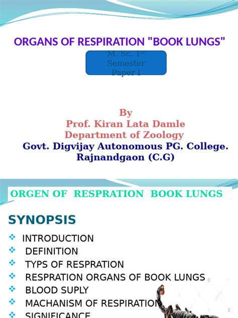 5 Book Lungsconvertedbyabcdpdf Pdf Cellular Respiration Lung