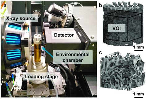 A Experimental Setup For In Situ Micro Computed Tomography Microct Download Scientific