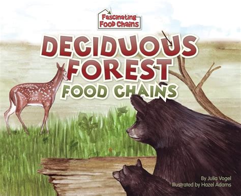 Deciduous Forest Food Chain