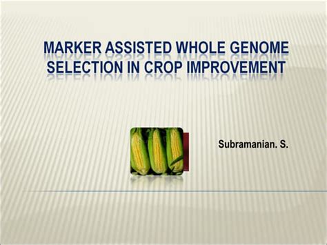 Marker Assisted Whole Genome Selection In Crop Improvement Ppt