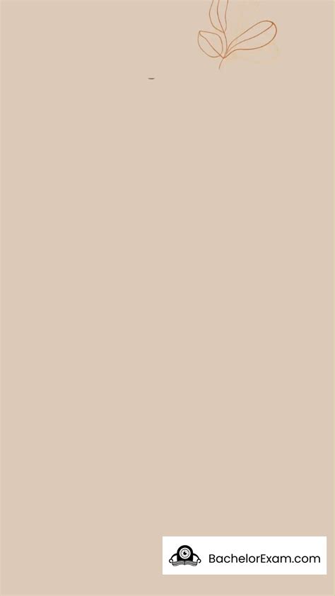 Bachelor Exam Bachelorexam • Instagram Photos And Videos