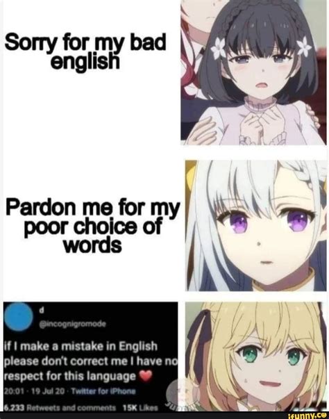 My Bad Meme No Words