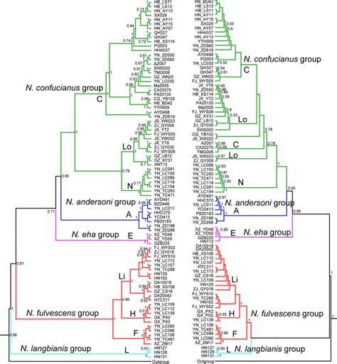 Bayesian Phylogenetic Estimates From A A Combined Dataset Of Three