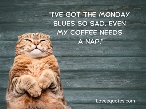 250 Hilarious Funny Monday Quotes Relatable And Witty Lovee Quotes