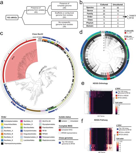 Assembly Of Complete Genomes For Uncultured Microorganisms A Number Of Download Scientific