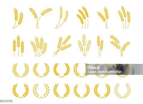 밀과 보리 이삭 잘 익은 노란 알갱이가 있는 밀 화환 쌀과 귀리 줄기 호밀 알갱이의 귀 실루엣 곡물 유기농 식품 맥주 및 빵
