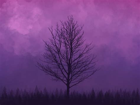 Procreate Easy Drawings Easy Drawings Procreate Drawings