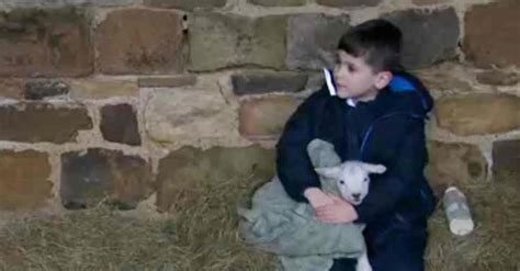 Emmerdale Minty The Lamb Is A Wonderful Addition To The Soap Fans Swoon Daily News