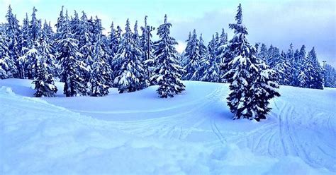 Mt Hood Oregon 960x720 Tooken By Iphone Imgur