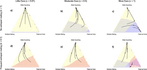 Evolutionary Dynamics Of The Three Male Mating Strategies Under A Download Scientific Diagram