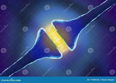 Neurons Firing Synapse