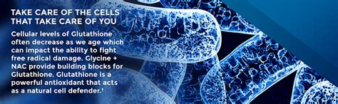 Celltrient Protect Capsules 56 Count Health And Household