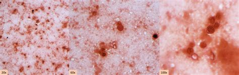 March 2023 Lablogatory