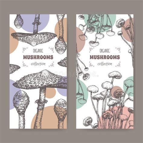Two Labels With Parasol Mushroom And Enokitake Mushroom Sketch On Black