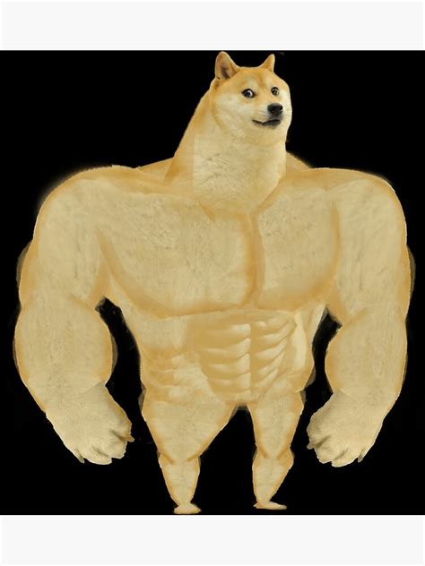Muscle Dog Gym At Benjamin Downie Blog
