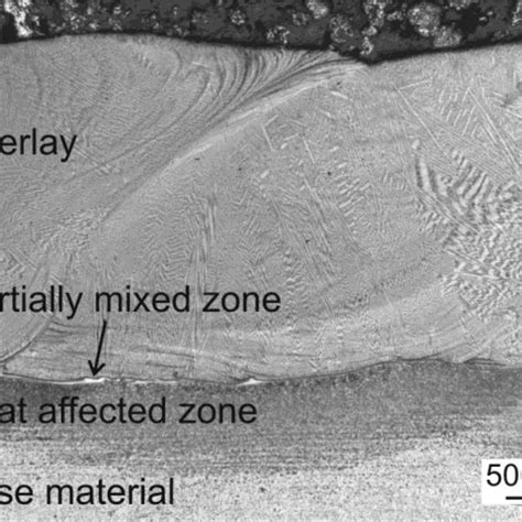 Microstructure Of The Weld Overlay With A Marked Microstructural Zone