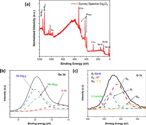 A X Ray Photoelectron Survey Spectrum Of The Gallium Oxide Thin Film