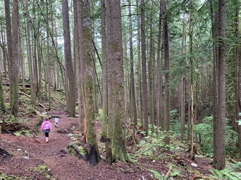 Zinata Andy Durrant 34 Comments