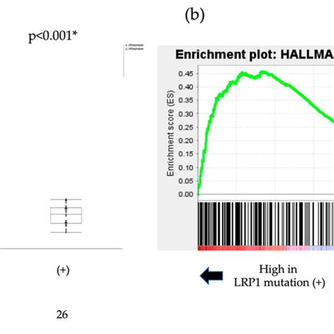 In Silico Approaches To Predict The Role Of Lrp1 Mutation A Boxplot