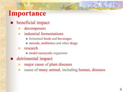 1 INTRODUCTION TO MYCOLOGY CLASSIFICATION Ppt