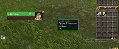 Tooltip Not Showing When Highlighting Bag Items My Tooltip Will Show