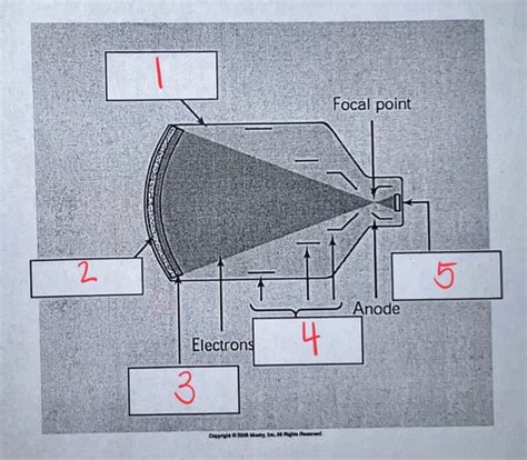 Fluoroscopy Intensifier Labeling Flashcards Quizlet