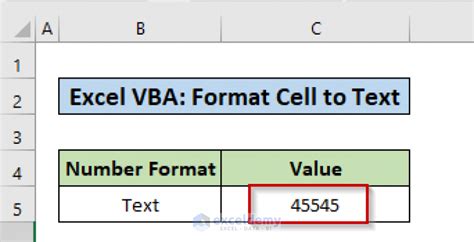 Excel Vba Format Cell As Text 3 Methods Exceldemy