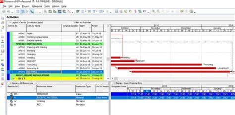Primavera P6 Resource Loading Feature Enables To Monitor Planned
