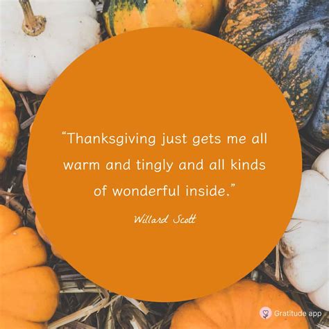 Motivational Thanksgiving Quotes To Inspire Gratitude And Joy