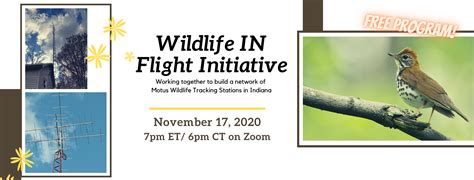 MOTUS FB cover – Indiana Audubon