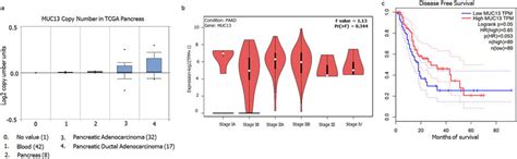 Expression Level Of Muc13 In Various Cancer Stages And Survival