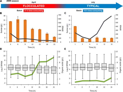 Global Gene Expression Distribution And Its Correlation With The