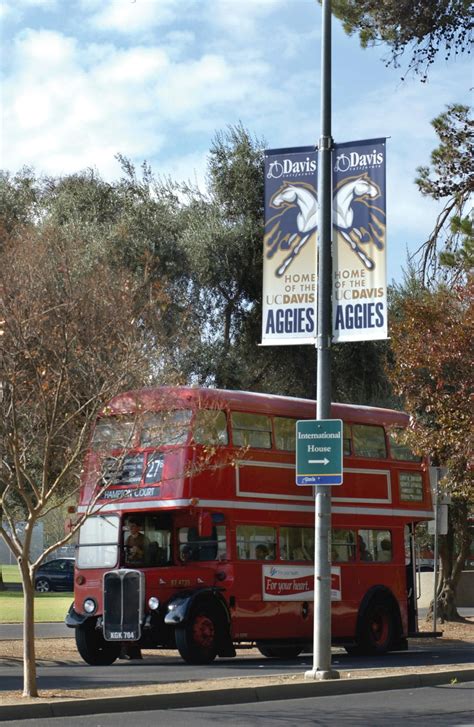 5 Things A Local S Guide To Davis California Artofit