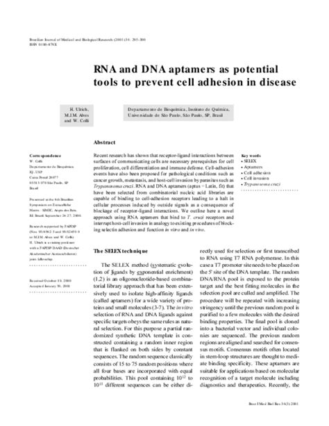 Pdf Rna And Dna Aptamers As Potential Tools To Prevent Cell Adhesion