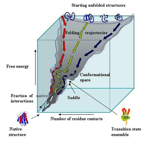Folding Energy Landscape Download Scientific Diagram
