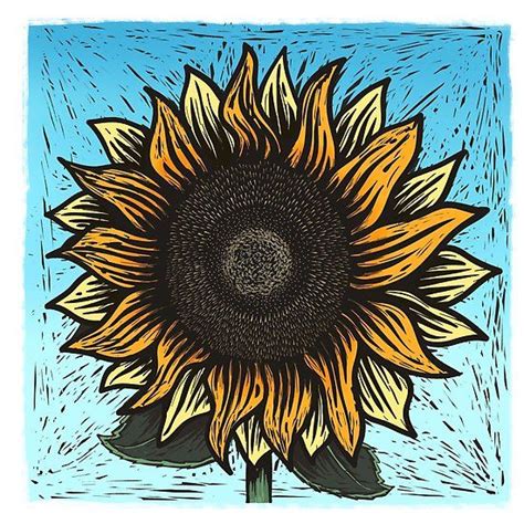 Here Comes The Sunflower Woodcut Sun Sunflower Field Garden