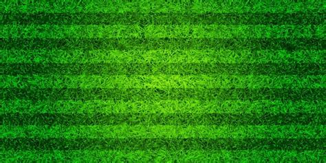 Page 13 Grass Stage Vectors And Illustrations For Free Download Freepik