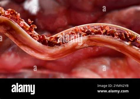 Vessel Blocked Stock Videos And Footage Hd And 4k Video Clips Alamy