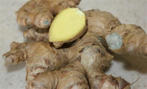 Ginger Gray Inside Thats What It Means Chef Reader