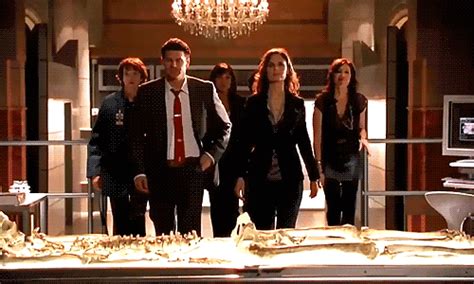 37 Bones Ideas Bones Bones Tv Series Bones Tv Show