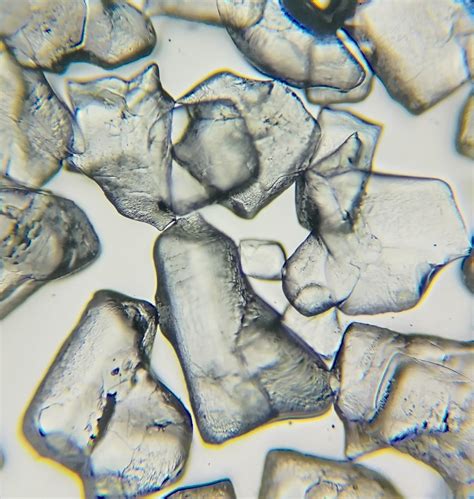 Sugar Crystals Microscope