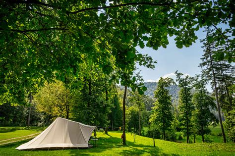 Forest Camping Mozirje Photos — Camperguru